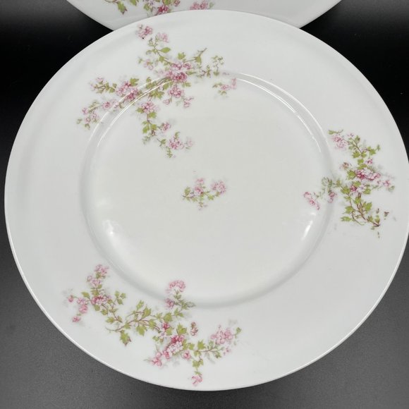 Victoria Austria | Dining | Antique Victoria Austria Pink Floral ...